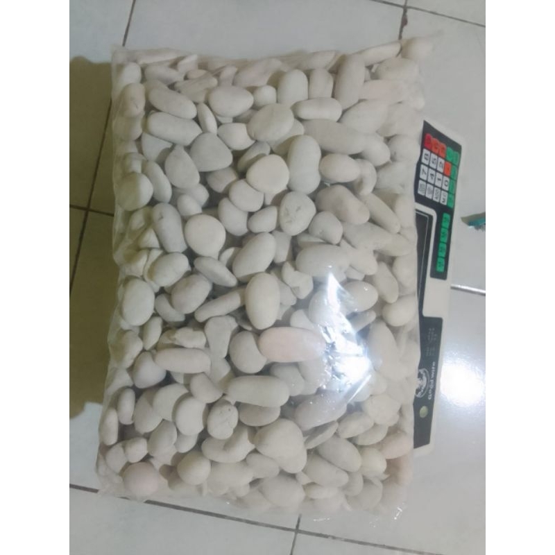 Jual Batu koral putih kupang 10kg/Batu hias putih/Batu koral hias/Batu ...
