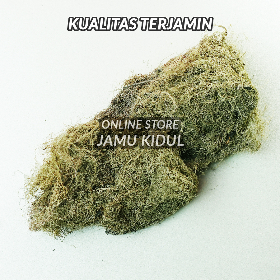 Jual Kayu Angin 500 gr atau Akar Angin Kering Oven | Shopee Indonesia