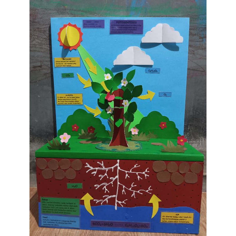 Jual Alat peraga fotosintesis | Shopee Indonesia
