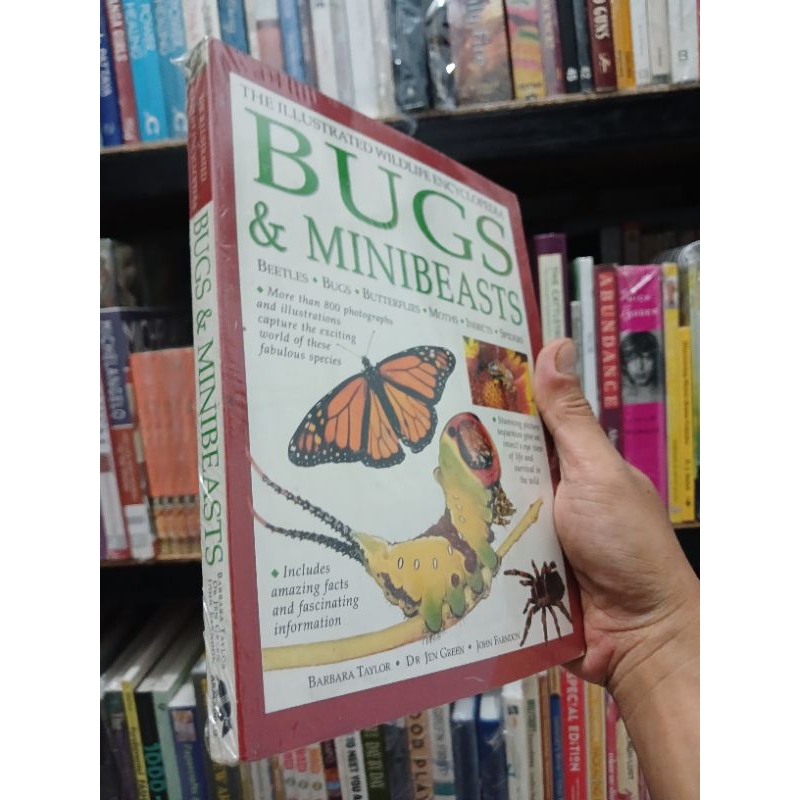 Jual Illustrated Wildlife Encyclopedia: Bugs & Minibeasts: Beetles, Bugs, Butterflies, Moths ...