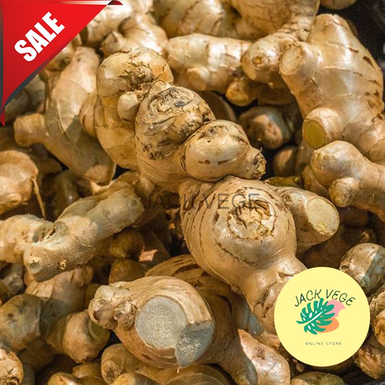 Jual Jahe Gajah/Besar Fresh 1 KG Murah | Shopee Indonesia
