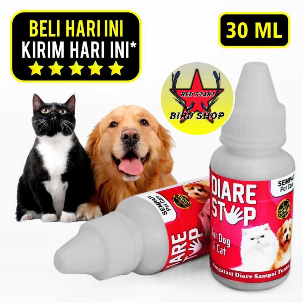 Jual Obat Kucing Mencret Diare Stop 30 Ml Obat Kucing Sakit Lesu Kurus ...