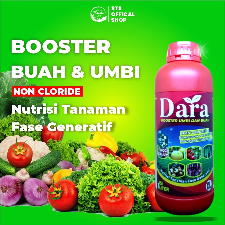 Jual Dara Pupuk Kalium Booster Pembesar Dan Memperbanyak Buah Dan Umbi ...