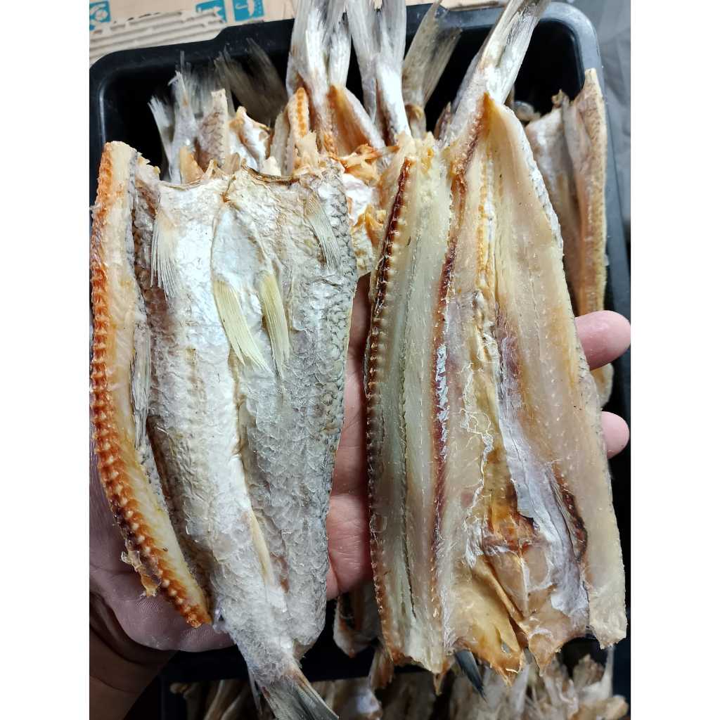 Jual Ikan asin gabus laut / bloso 1 kg termurah | Shopee Indonesia
