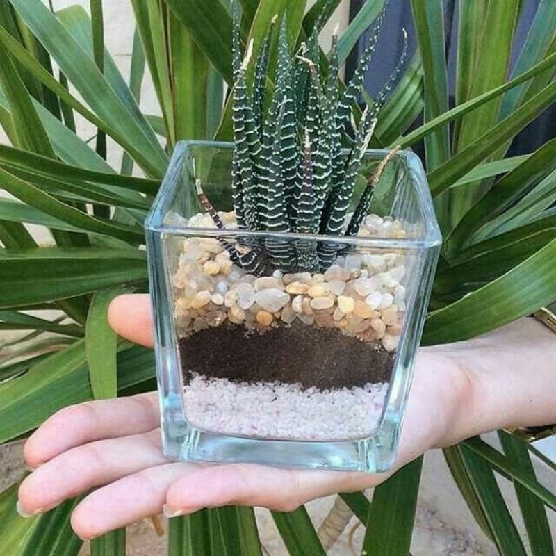 Jual VAS BUNGA KACA KOTAK 8 CM / VAS KOTAKO AESTHETIC MINIMALIS / VAS ...
