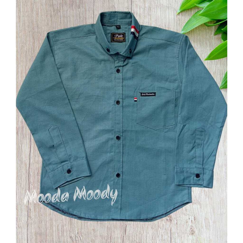 Jual Mooda Moody - Kemeja Anak Laki Laki Lengan Panjang Warna Hijau ...