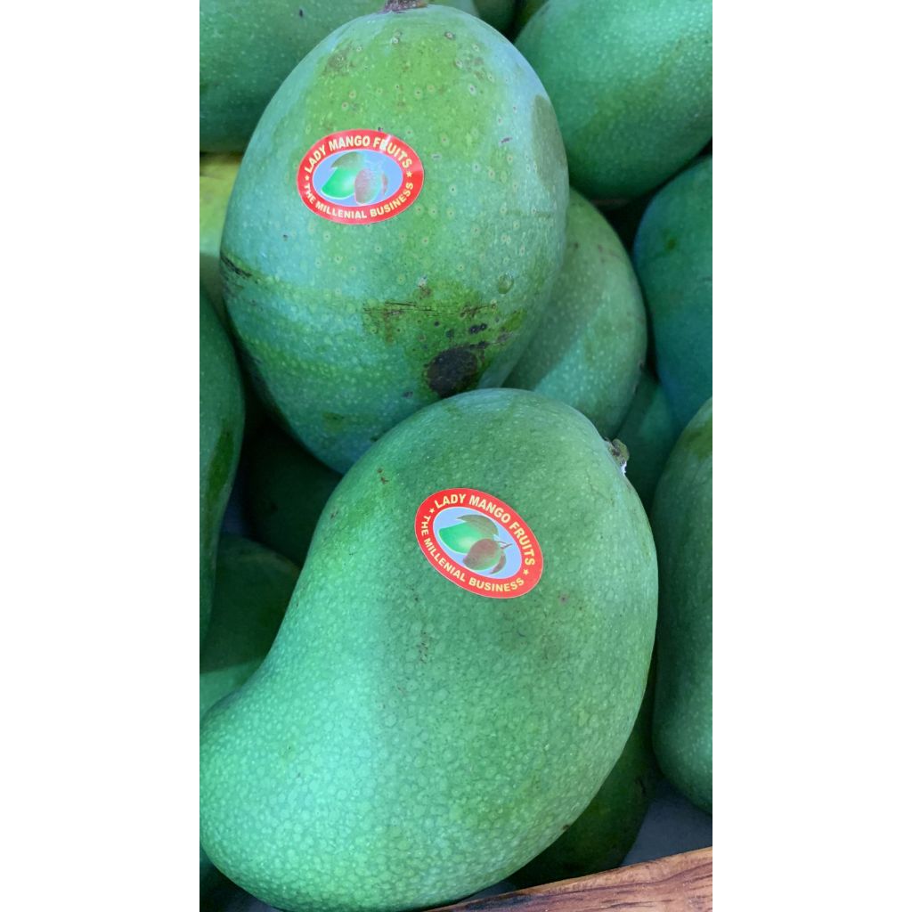 Jual Mangga Harum Manis Alpukat 1kg | Shopee Indonesia
