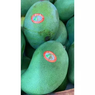 Jual Mangga 1 Kg Terlengkap & Harga Terbaru Juli 2024 | Shopee Indonesia