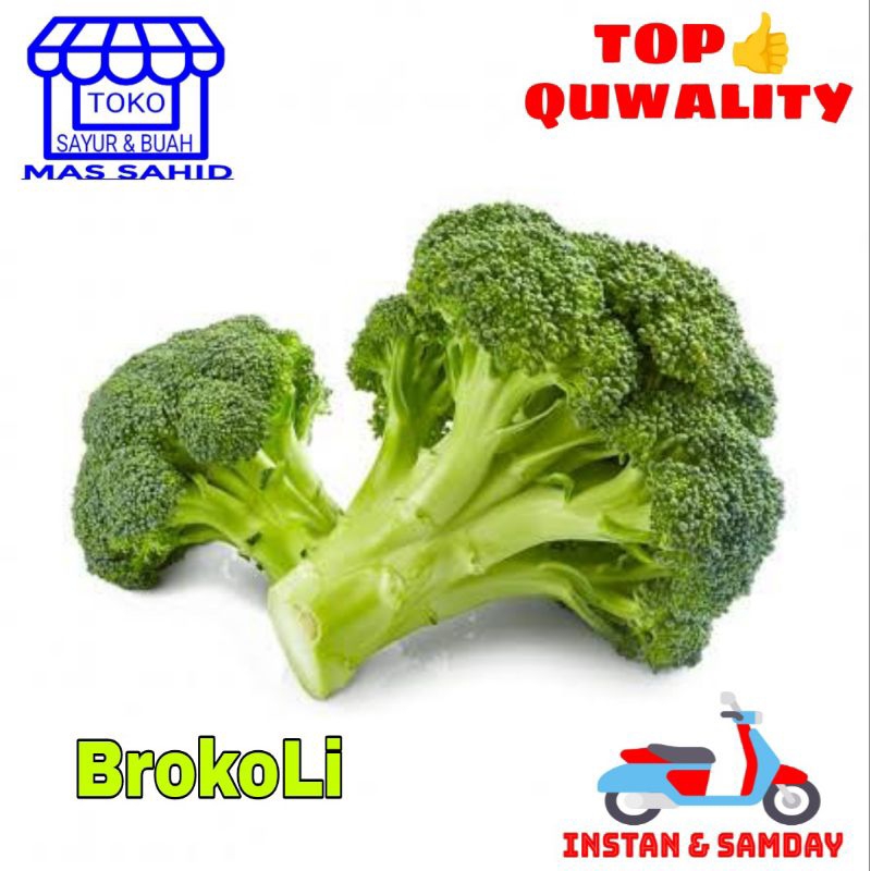 Jual Brokoli Segar Sayur Brokoli 1 Batang 200g/300g | Shopee Indonesia
