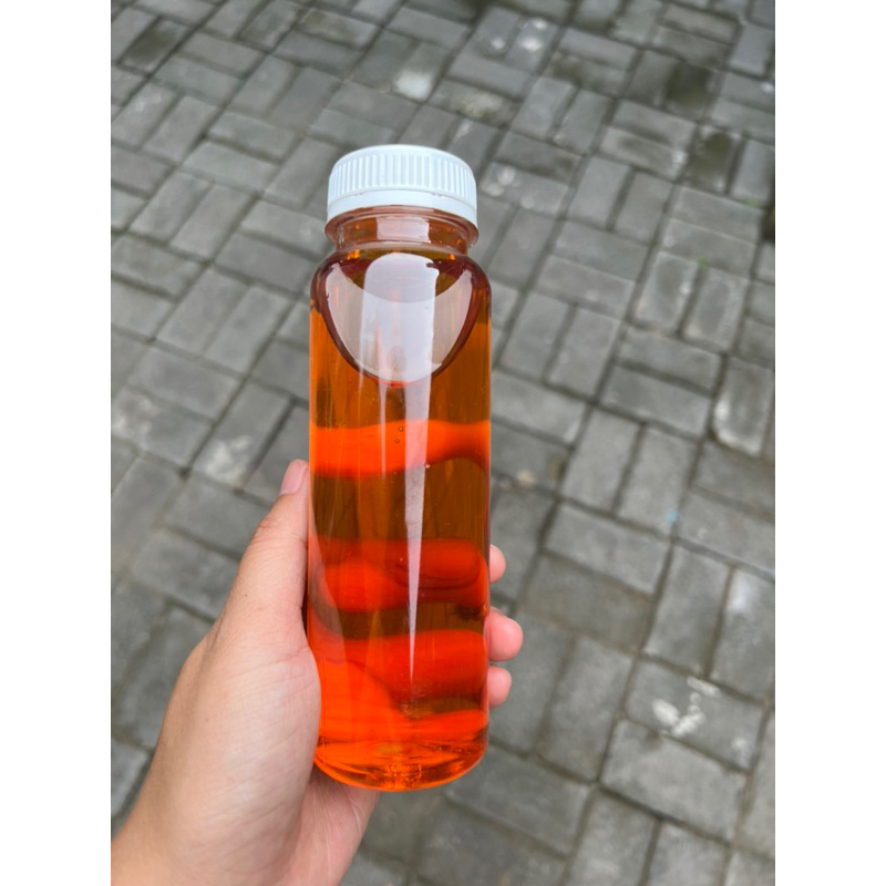 Jual Prawn oil / MINYAK UDANG / shrimp oil HOMEMADE/ penyedap rasa non ...