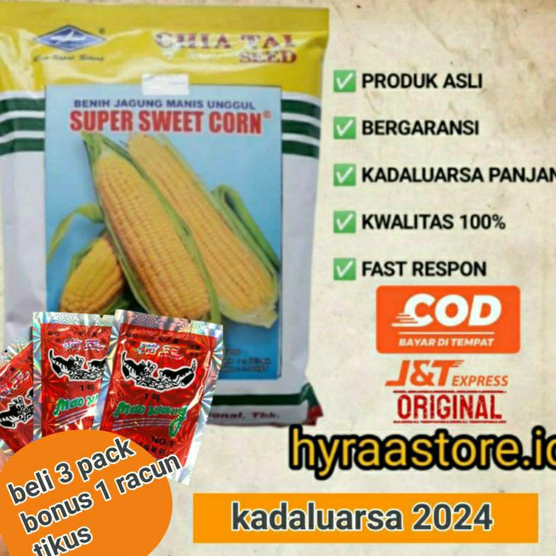Jual Terkini Benih Jagung Manis Super Sweet Corn 250 gram, kadaluarsa 2024 MKB | Shopee Indonesia