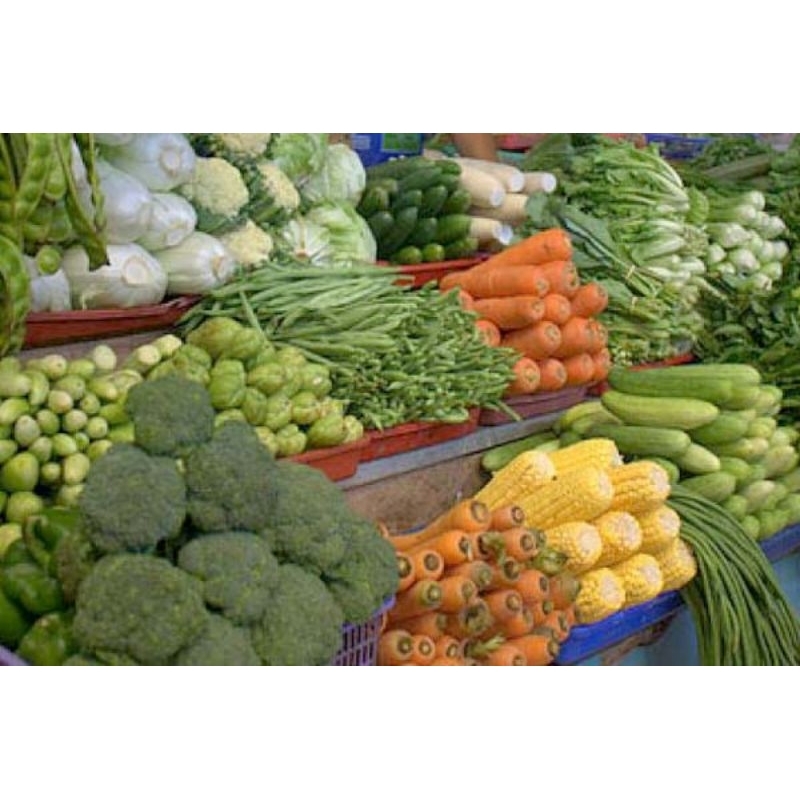 Jual SERBU SERBA 3000 AN | Shopee Indonesia