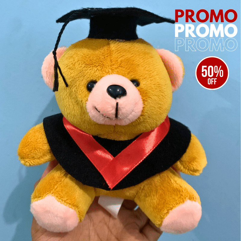 Jual Boneka Bear Polosan / Kado Boneka Teddy Bear Wisuda Kecil Mini ...