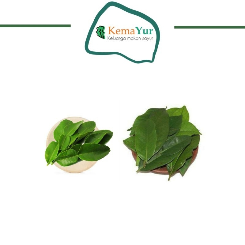 Jual DAUN SALAM MIX DAUN JERUK PACK | Shopee Indonesia