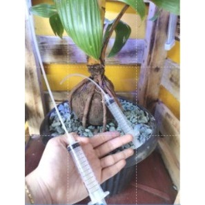 Jual Suntikan selang parfum // 20ml | Shopee Indonesia