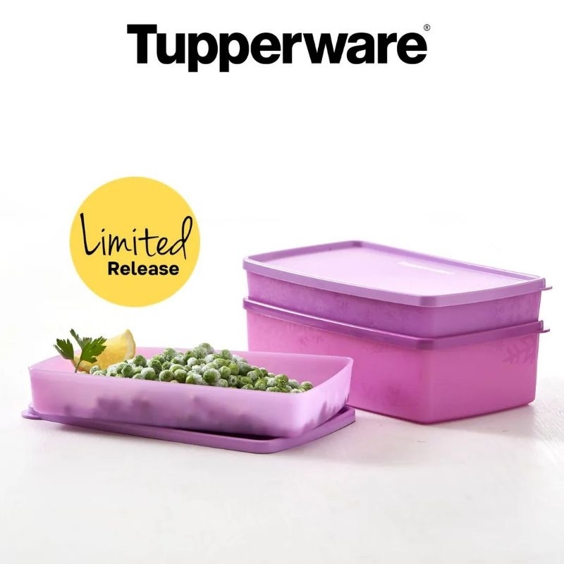 Jual frozen set rectangular tupperware | Shopee Indonesia