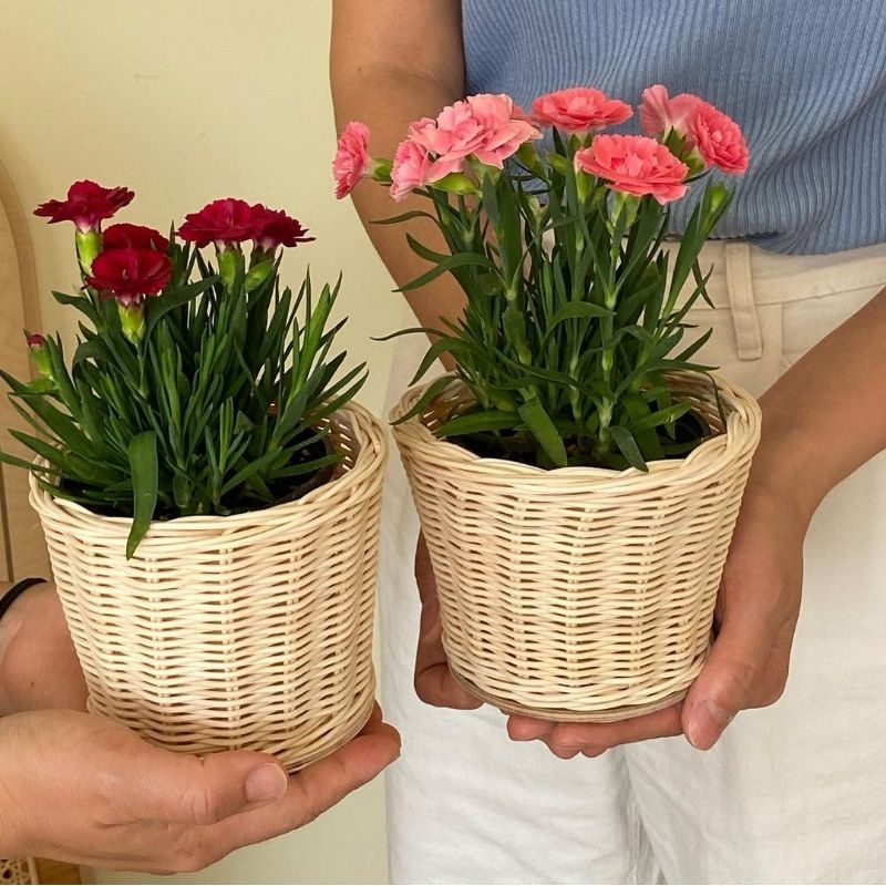 Jual vas bunga rattan,cover pot rotan | Shopee Indonesia