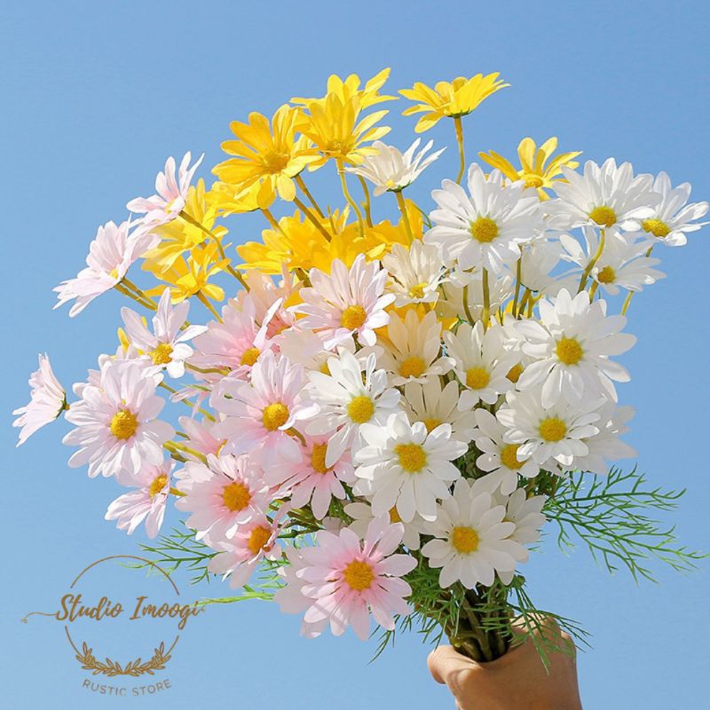 Jual BUNGA CHAMOMILE /ASTER TANGKAI PANJANG / BUNGA ASTER CEMARA ...