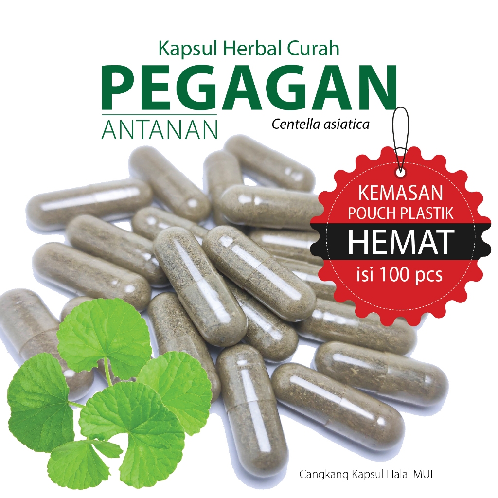 Jual PEGAGAN / ANTANAN Kapsul Herbal Kemasan Hemat - isi 100 | Shopee ...