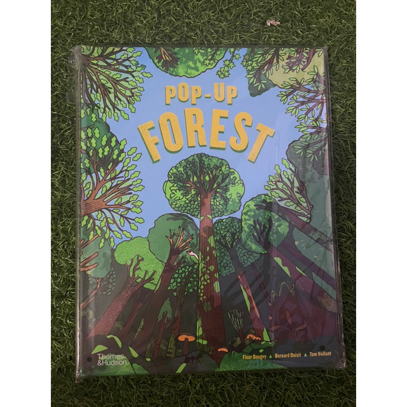 Jual POP-UP FOREST (booked) | Shopee Indonesia