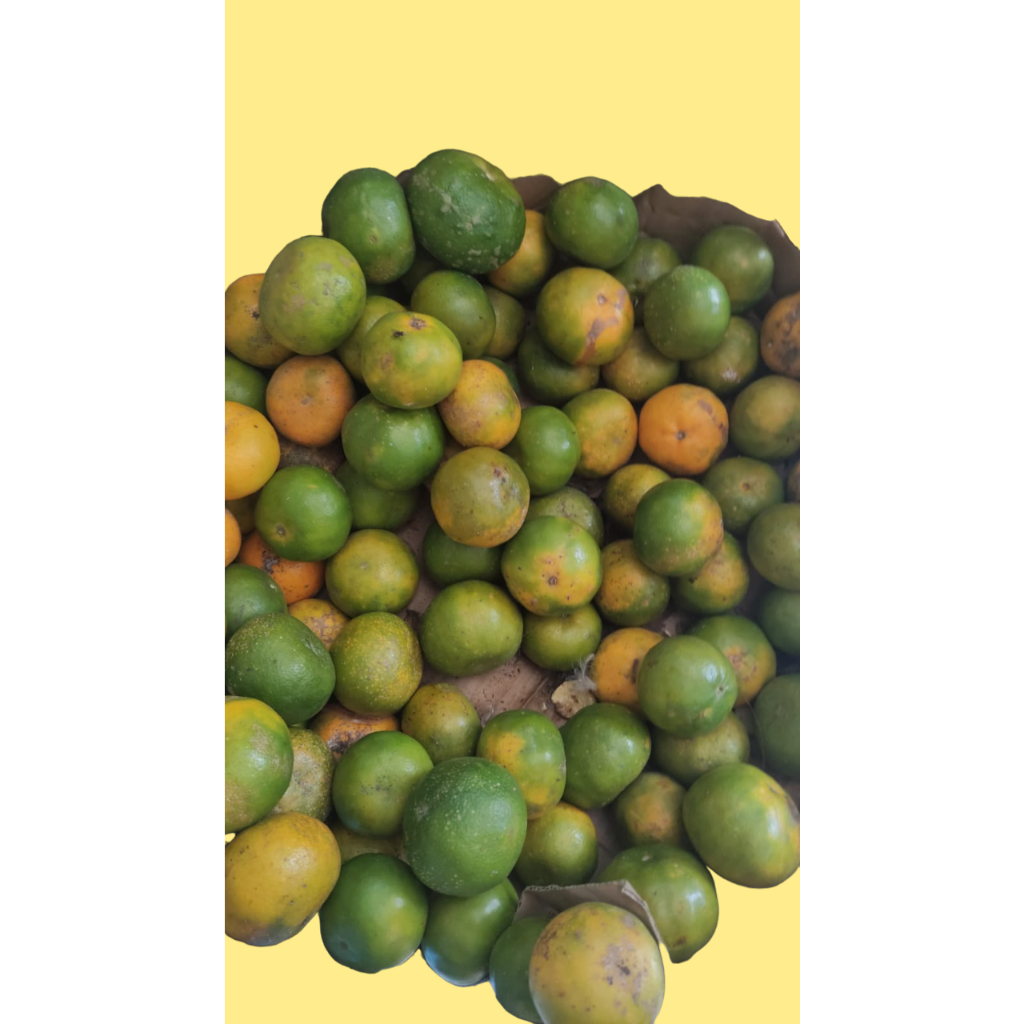 Jual jeruk lokal rasa yang segar dan manis, serta memiliki aroma yang ...