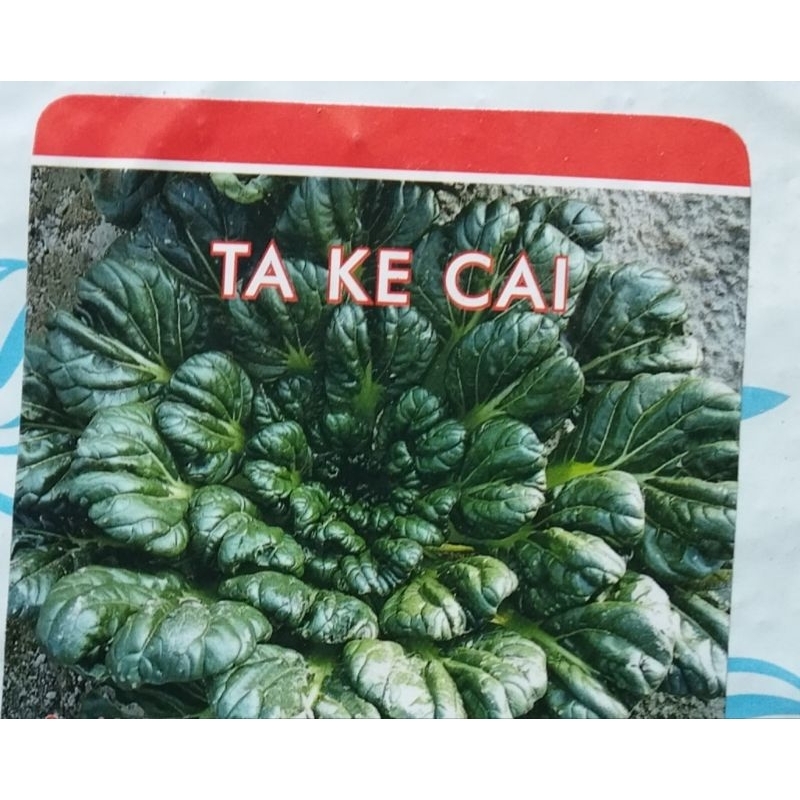 Jual 100 Butir BENIH SAWI PAGODA TAKECAI ( Kemasan Repack ) | Shopee ...