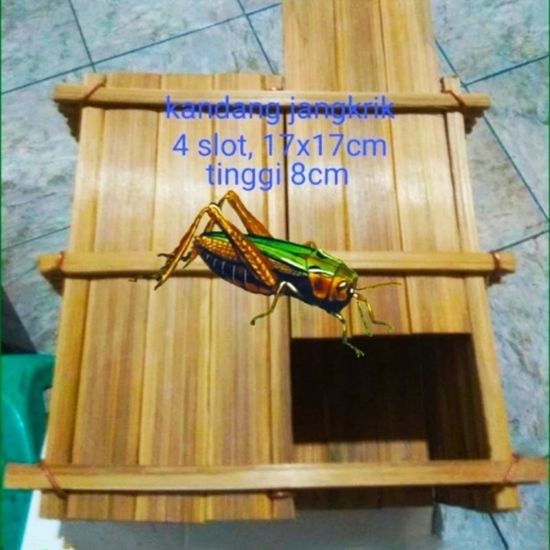 Jual kandang jangkrik | Shopee Indonesia