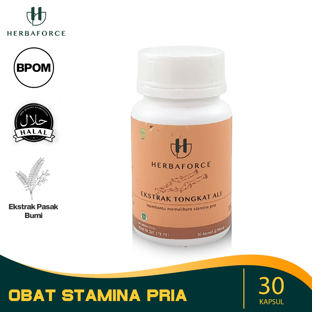 Jual HERBAFORCE Ekstrak Tongkat Ali Obat Suplemen Herbal 30 / 60 Kapsul ...
