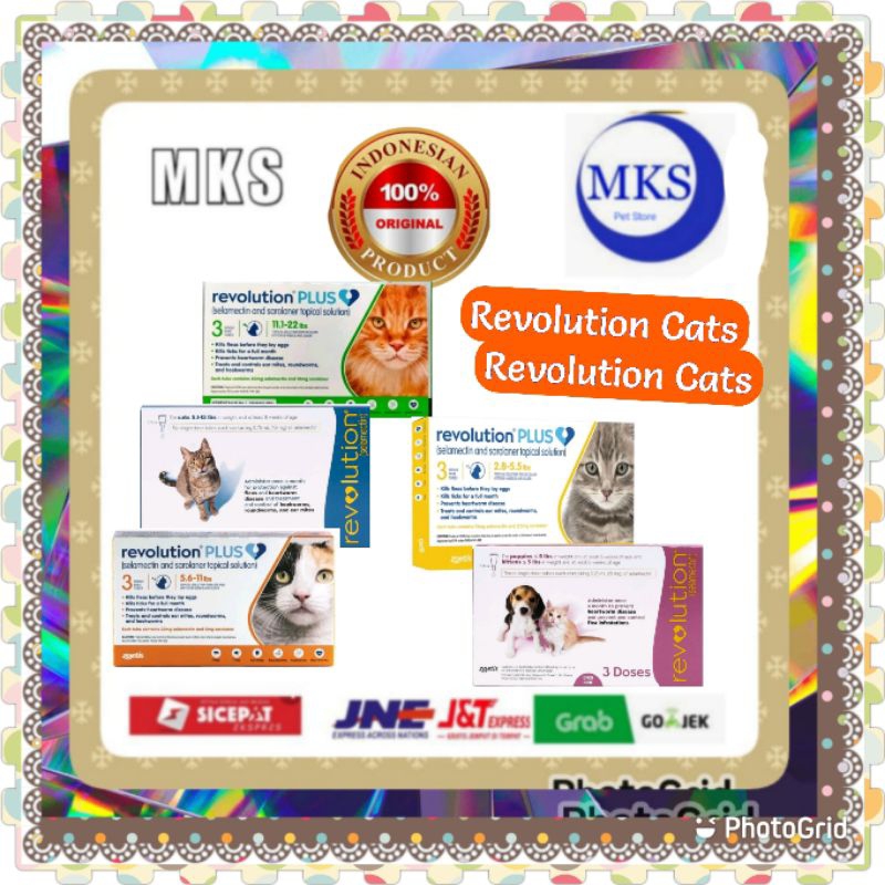 Jual Revolution Cat Plus [Zoetis] . | Shopee Indonesia