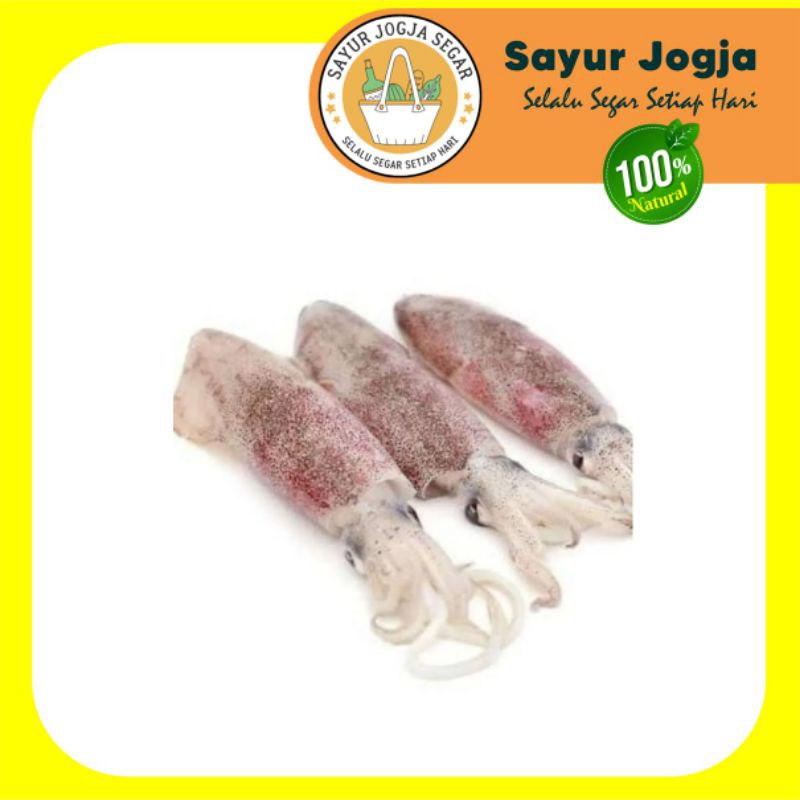 Jual CUMI-CUMI SEDANG FRESH [250 Gram] | Shopee Indonesia