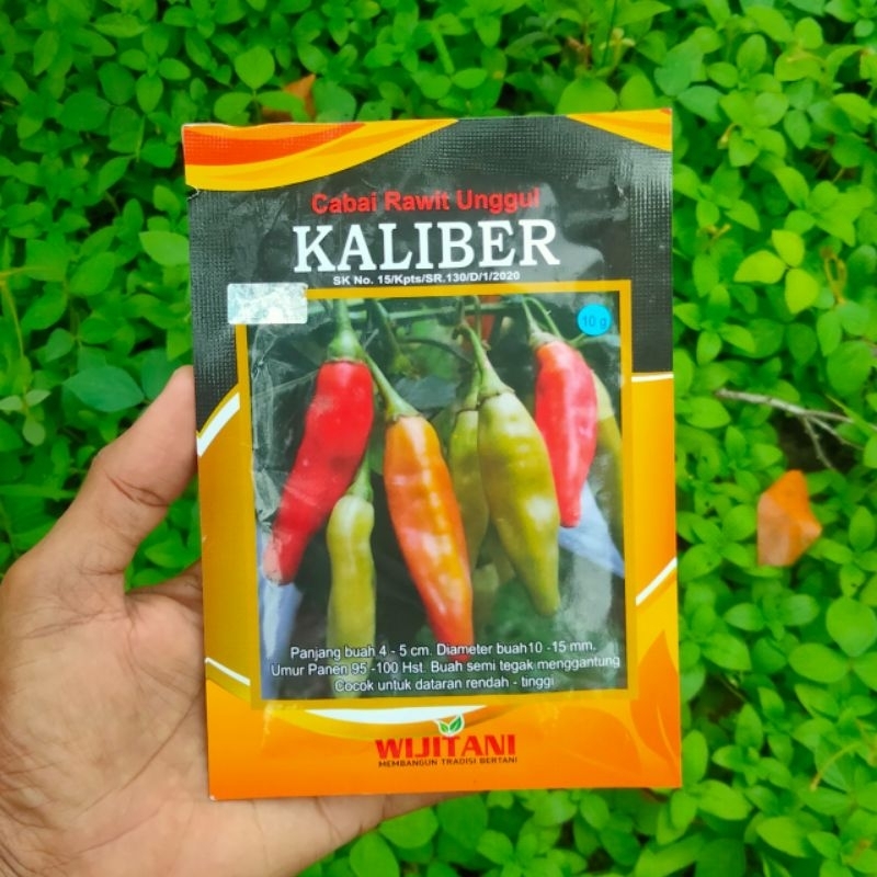 Jual 50 BIJI BENIH CABE RAWIT KALIBER ORIGINAL KEMASAN REPACK | Shopee ...