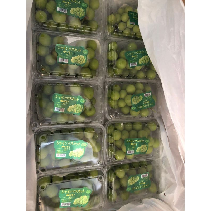 Jual anggur shine Muscat /pack 500grm | Shopee Indonesia