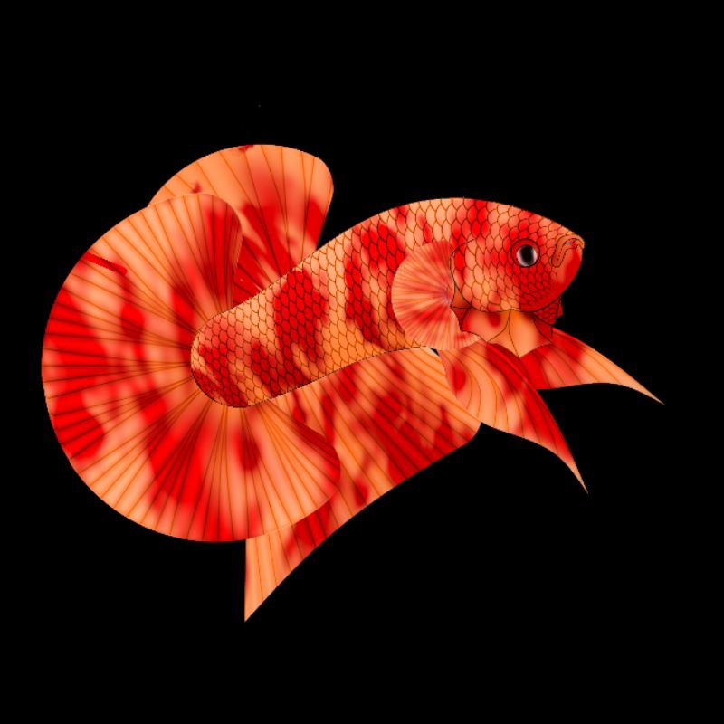Jual stiker ikan cupang 50K | Shopee Indonesia