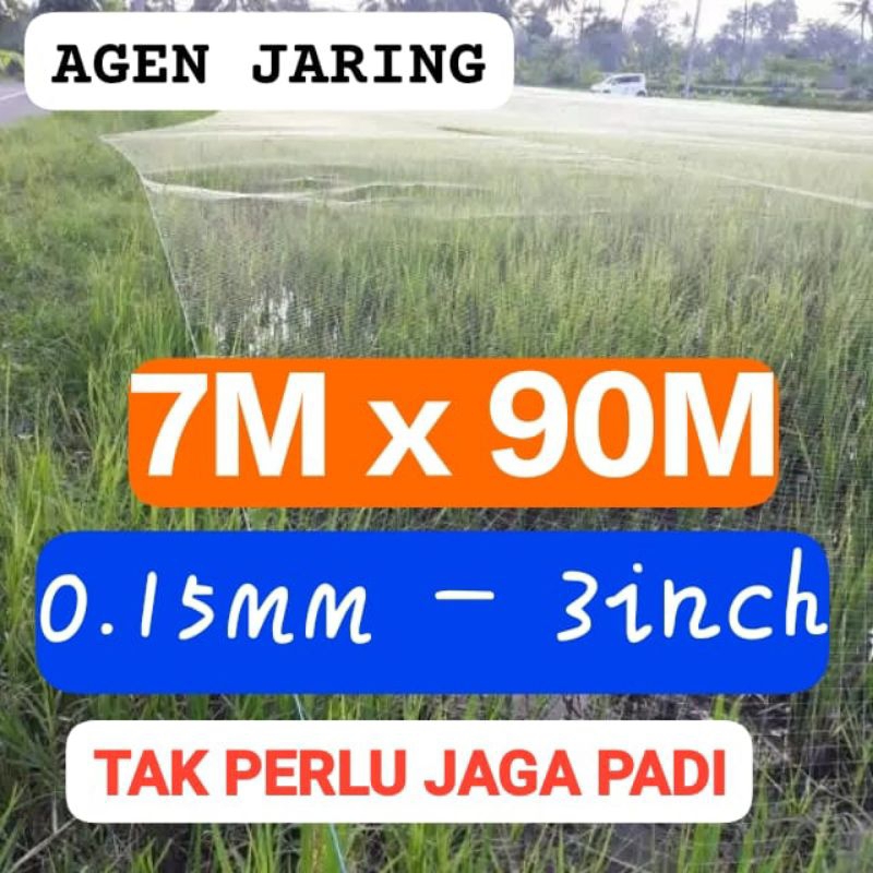 Jual JARING BURUNG PELINDUNG PADI / JARING BURUNG 0.15 / JARING PADI ...