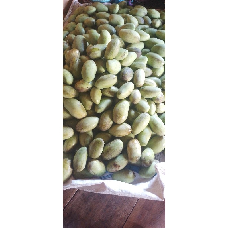 Jual Mangga udang super manis 1kg | Shopee Indonesia