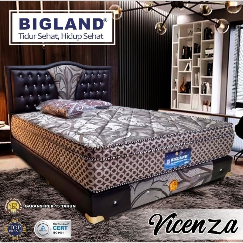 Jual Kasur SpringBed Golden Vicensa Ranjang Dipan Sandaran Set Bed ...