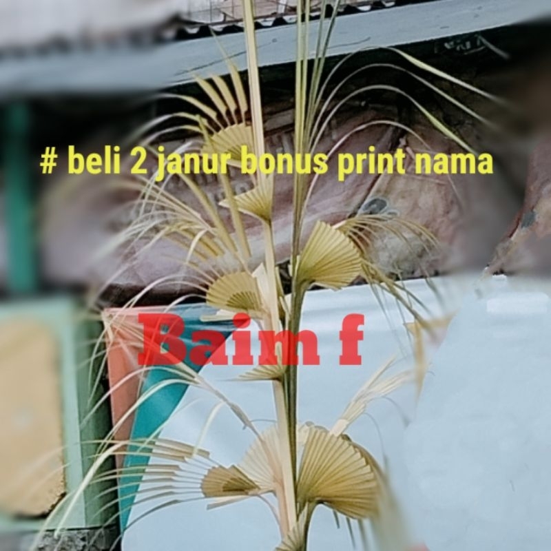 Jual janur tanda pernikahan/buat khitan(beli 2 free print nama ...
