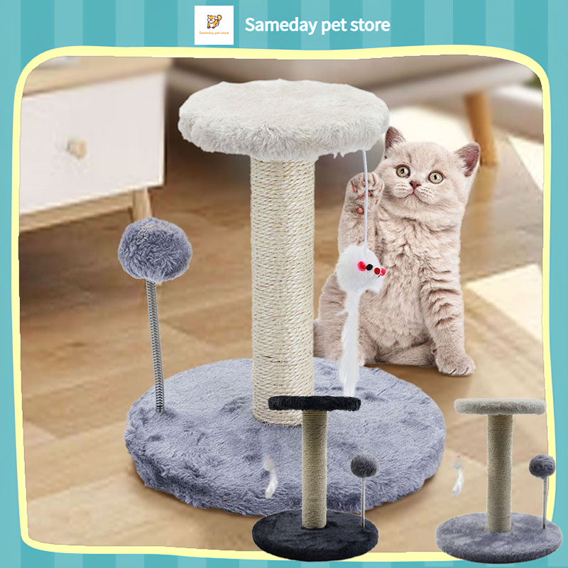 Jual Cat Scratcher Mainan Garukan Kucing 2 in 1 Cakaran Kucing / Cat ...