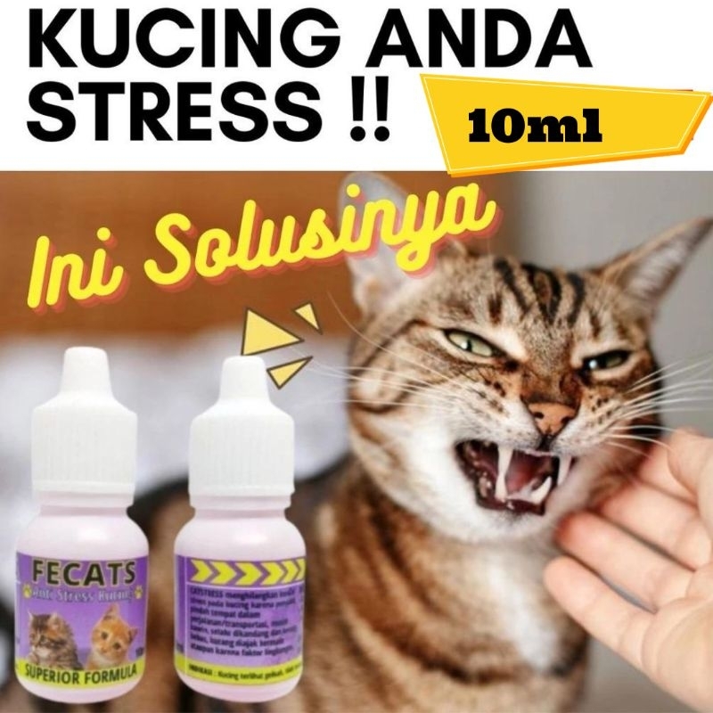 Jual Obat Kucing Anti stres NDARUFRAM | Shopee Indonesia