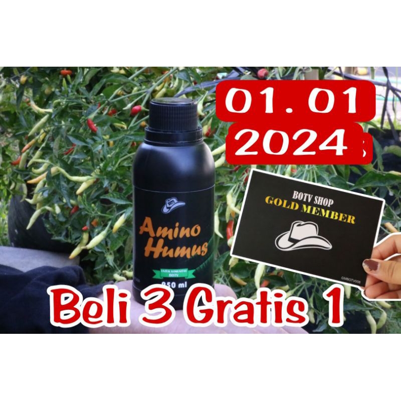 Jual Pupuk cair organik Asam amino plus humus cair 250ml , Hanya Untuk ...