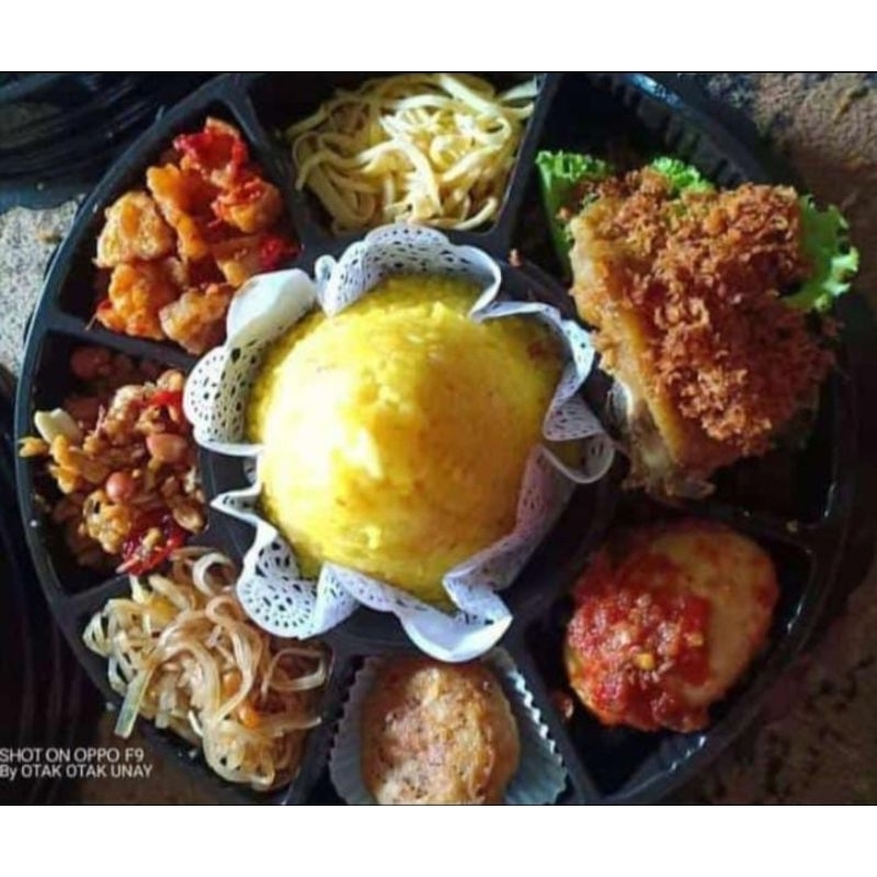 Jual Tumpeng Mini Nasi Kuning Special Ayam Goreng untuk Bingkisan Ulang Tahun Syukuran Selamatan ...