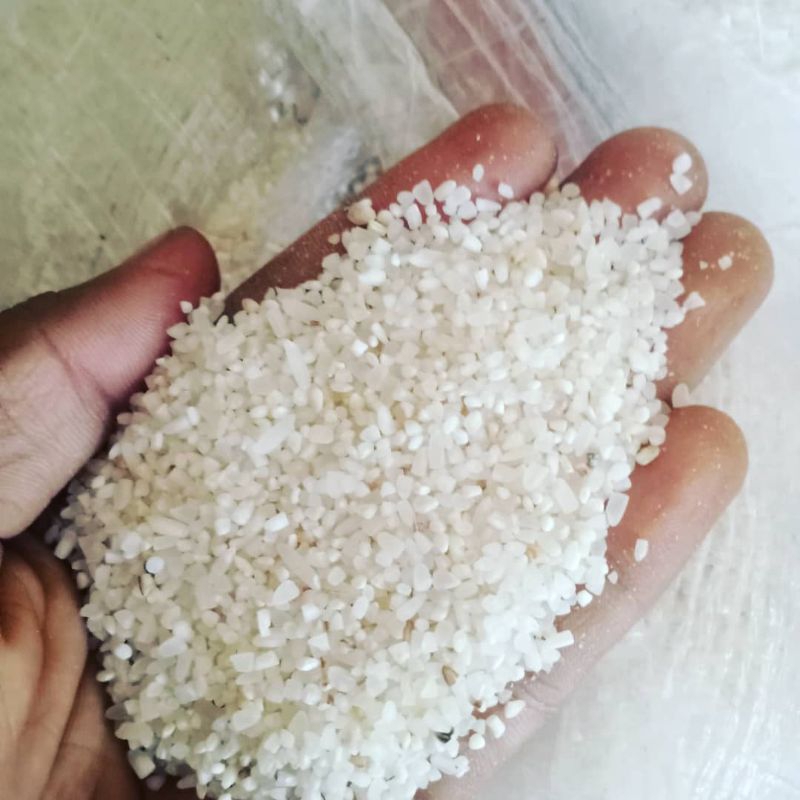 Jual Beras menir 10 kg | Shopee Indonesia