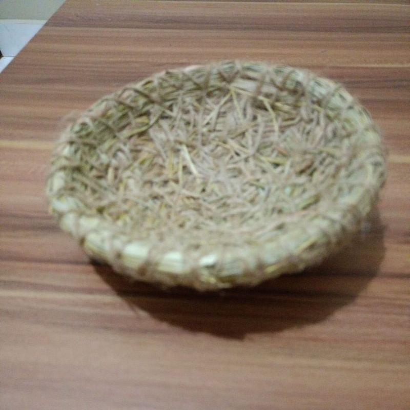 Jual Sarang Burung perkutut | Shopee Indonesia