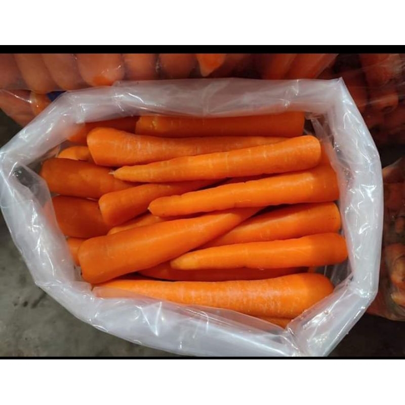 Jual Wortel buah Segar /KG | Shopee Indonesia