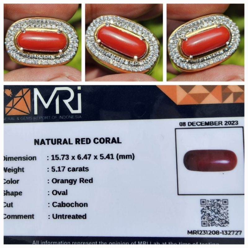 Jual Natural Marjan Orangy Red Coral NTE Memo 5.17 crt | Shopee Indonesia