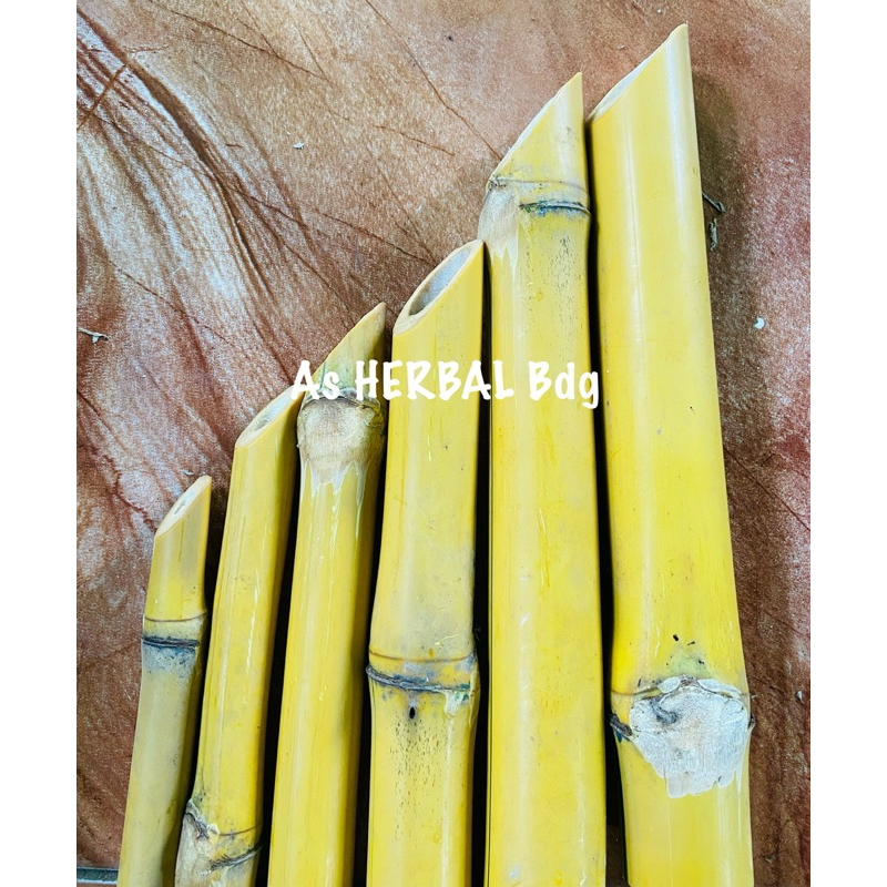 Jual Batang bambu kuning sudah runcing P 30 cm isi 2 batang-az | Shopee ...