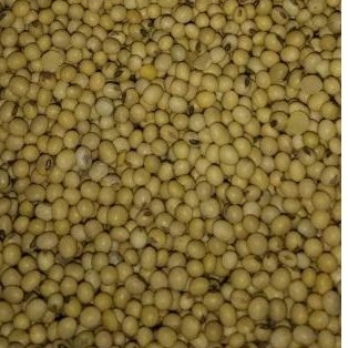 Jual kacang kedelai,kacang kedele super 250grm | Shopee Indonesia
