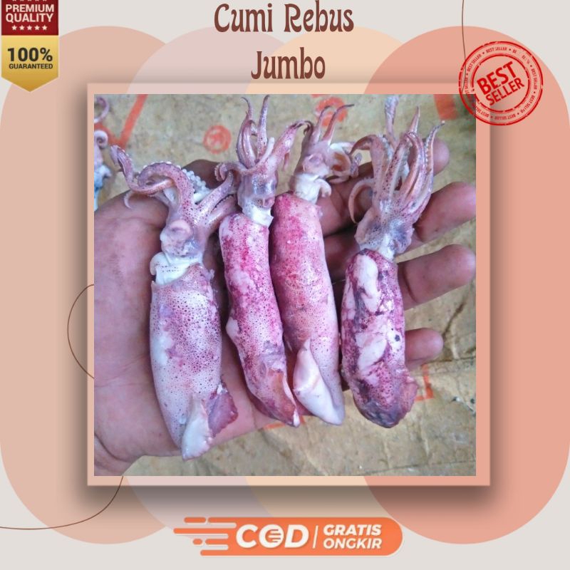 Jual Cumi telor rebus varian size kecil/baby, sedang & jumbo 250 g ...