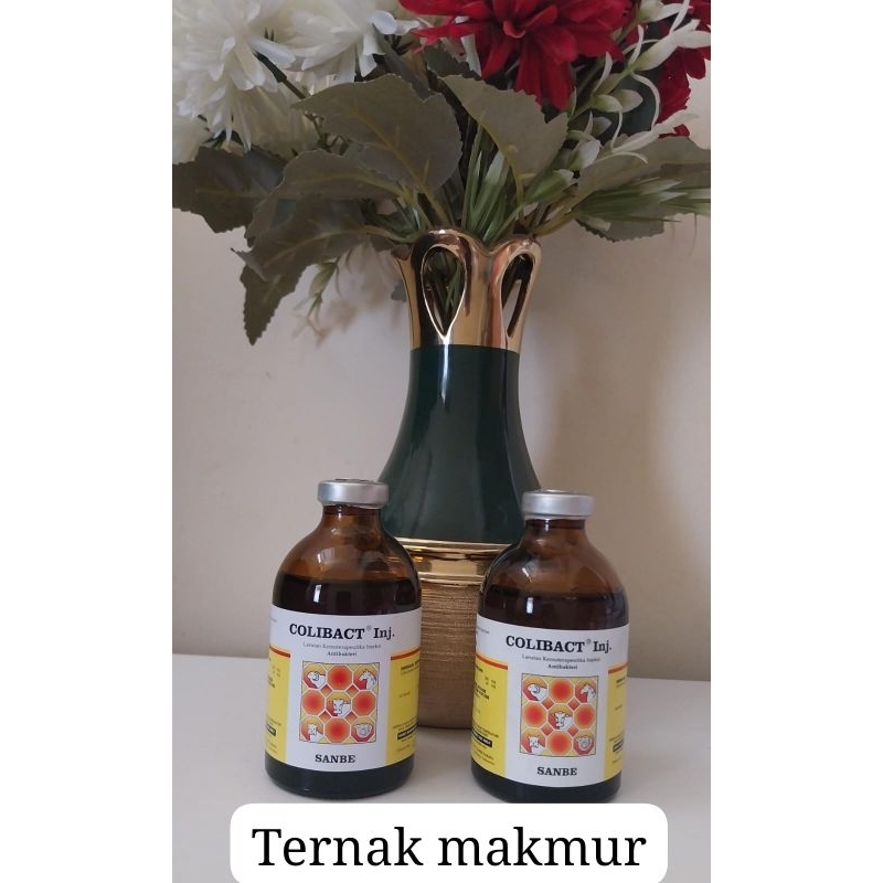 Jual Colibact 50ml injeksi ed Agust 25 | Shopee Indonesia Jual Colibact 50ml injeksi ed Agust 25 | Shopee Indonesia