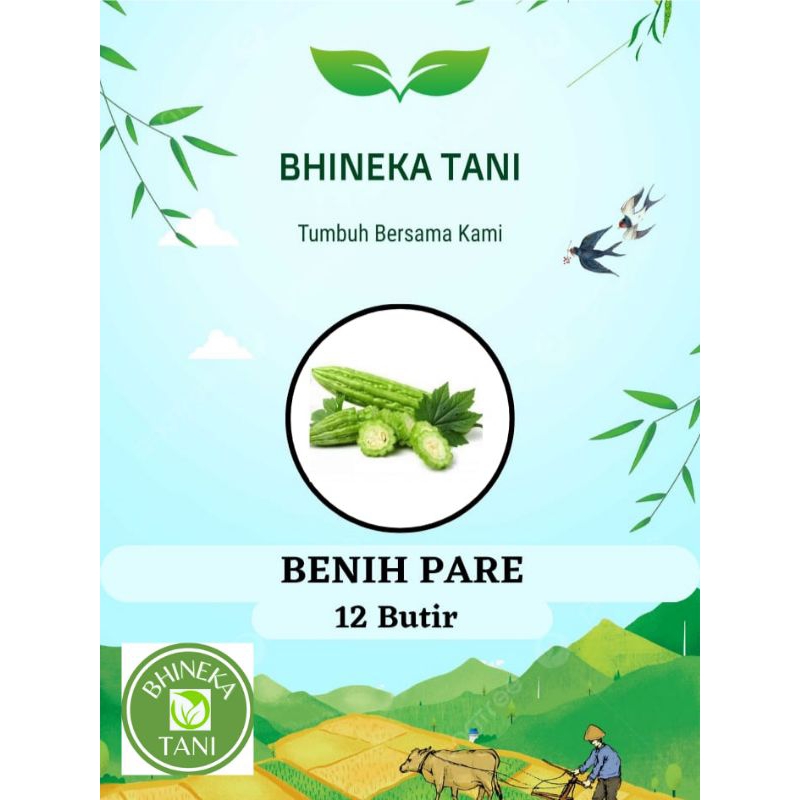Jual BENIH PARE PREMIUM ISI 12 BUTIR | Shopee Indonesia